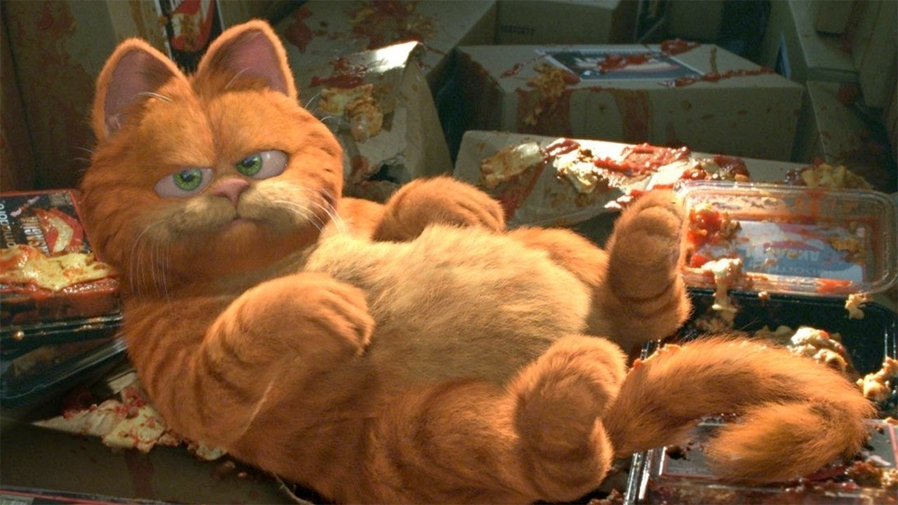 Garfield | VERN'S REVIEWS on the FILMS of CINEMA