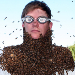 Infested (2002) | VERN'S REVIEWS on the FILMS of CINEMA