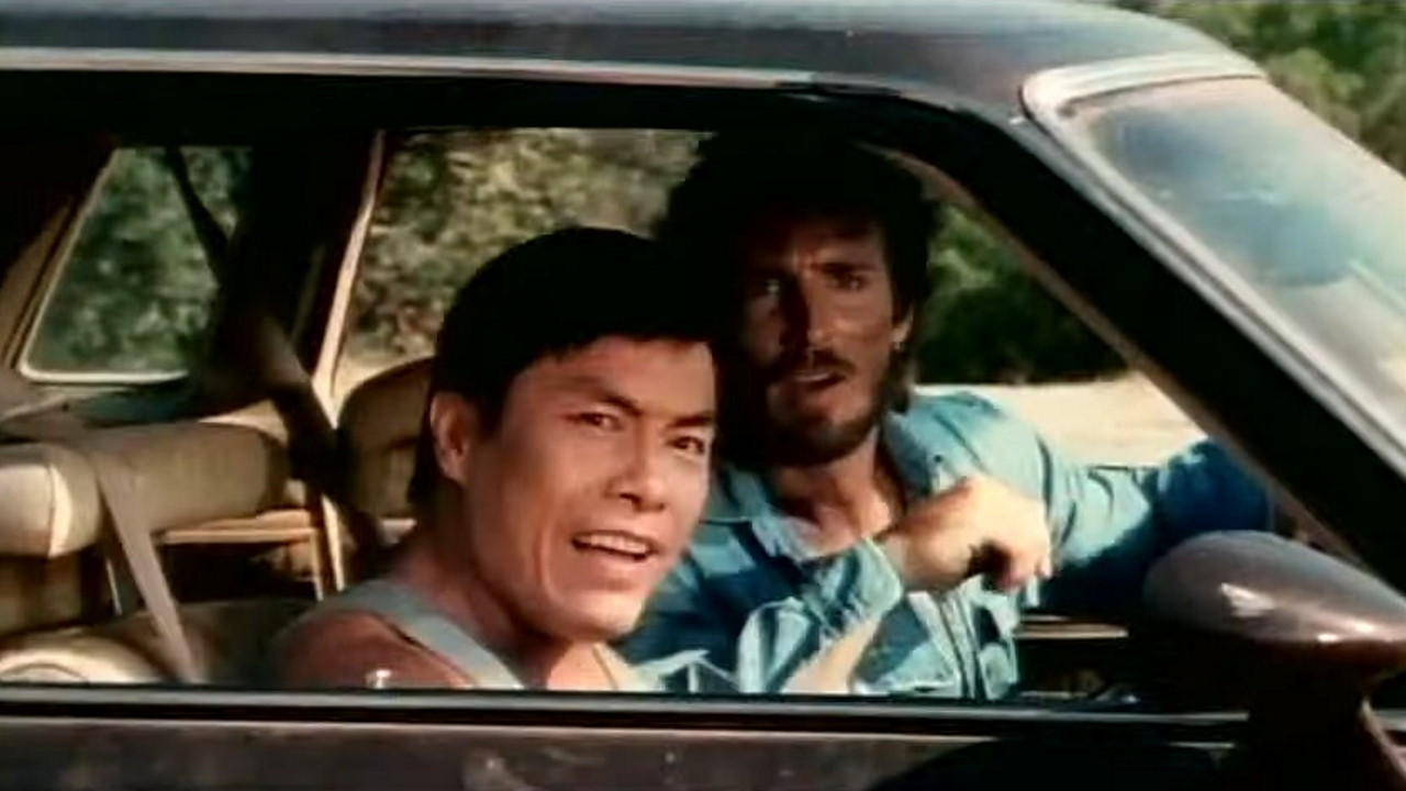 Hardcase and Fist | VERN'S REVIEWS on the FILMS of CINEMA