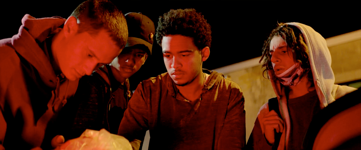 The Land | VERN'S REVIEWS on the FILMS of CINEMA