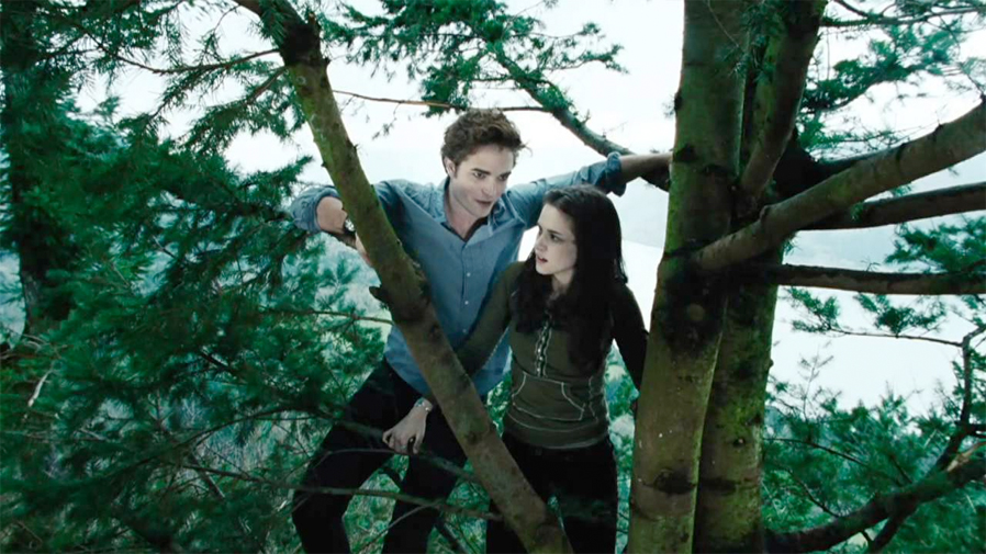 Twilight (special bonus Patreon shit) | VERN'S REVIEWS on the FILMS of ...