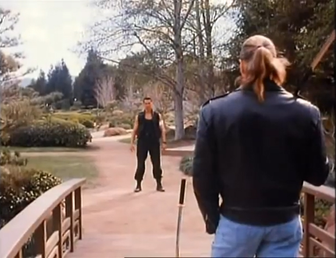 True Vengeance | VERN'S REVIEWS on the FILMS of CINEMA