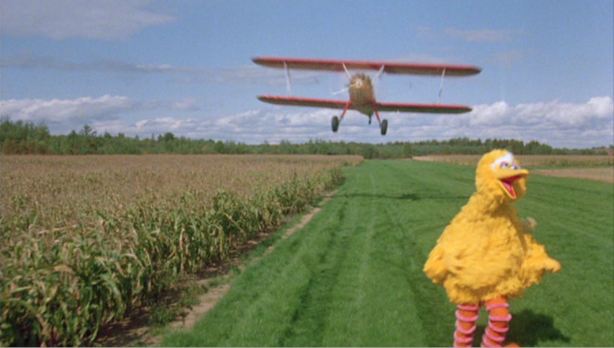 Follow That Bird | VERN'S REVIEWS on the FILMS of CINEMA