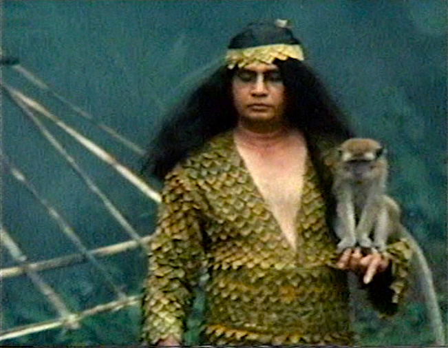 Blind Warrior | VERN'S REVIEWS on the FILMS of CINEMA