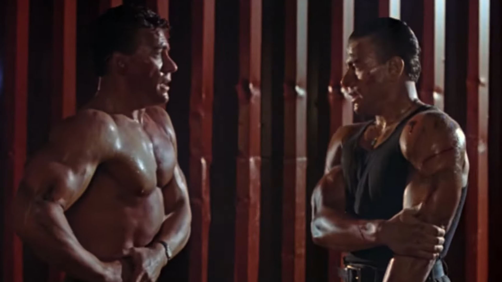 Double Impact (1991) | VERN'S REVIEWS on the FILMS of CINEMA