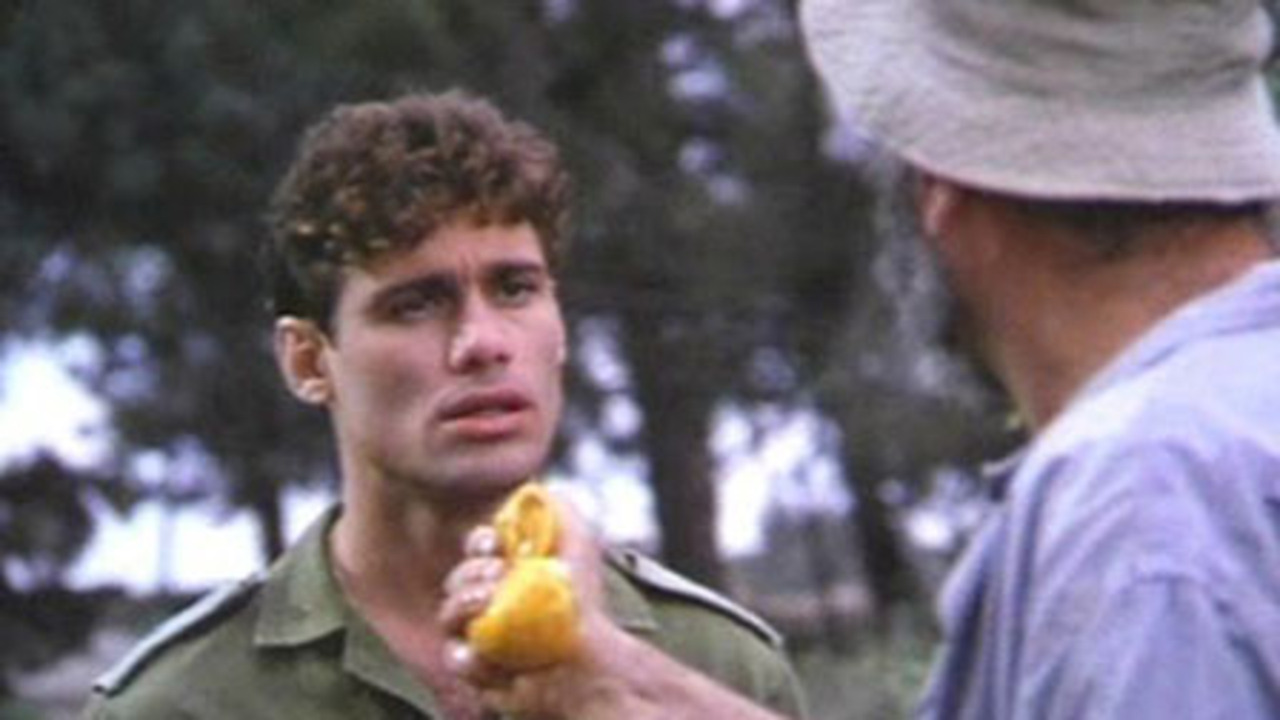 Sword of Gideon (1986) | VERN'S REVIEWS on the FILMS of CINEMA