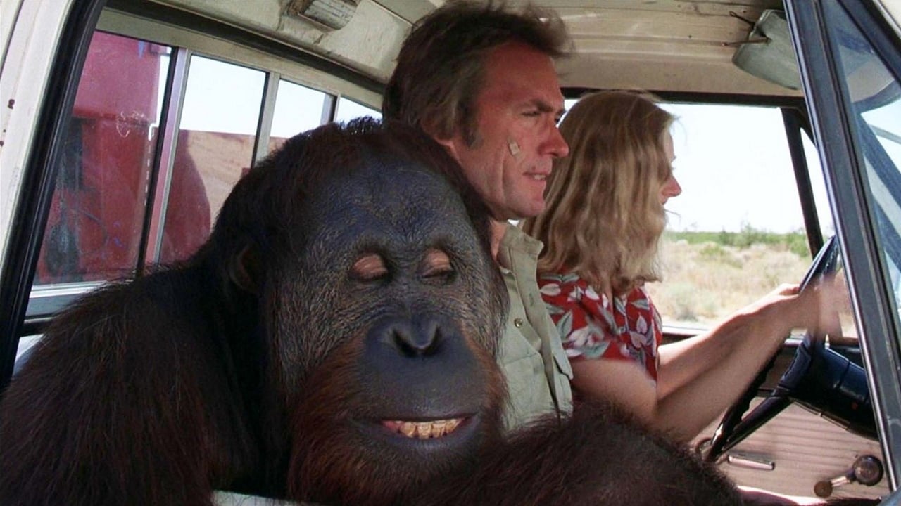 Any Which Way You Can | VERN'S REVIEWS on the FILMS of CINEMA