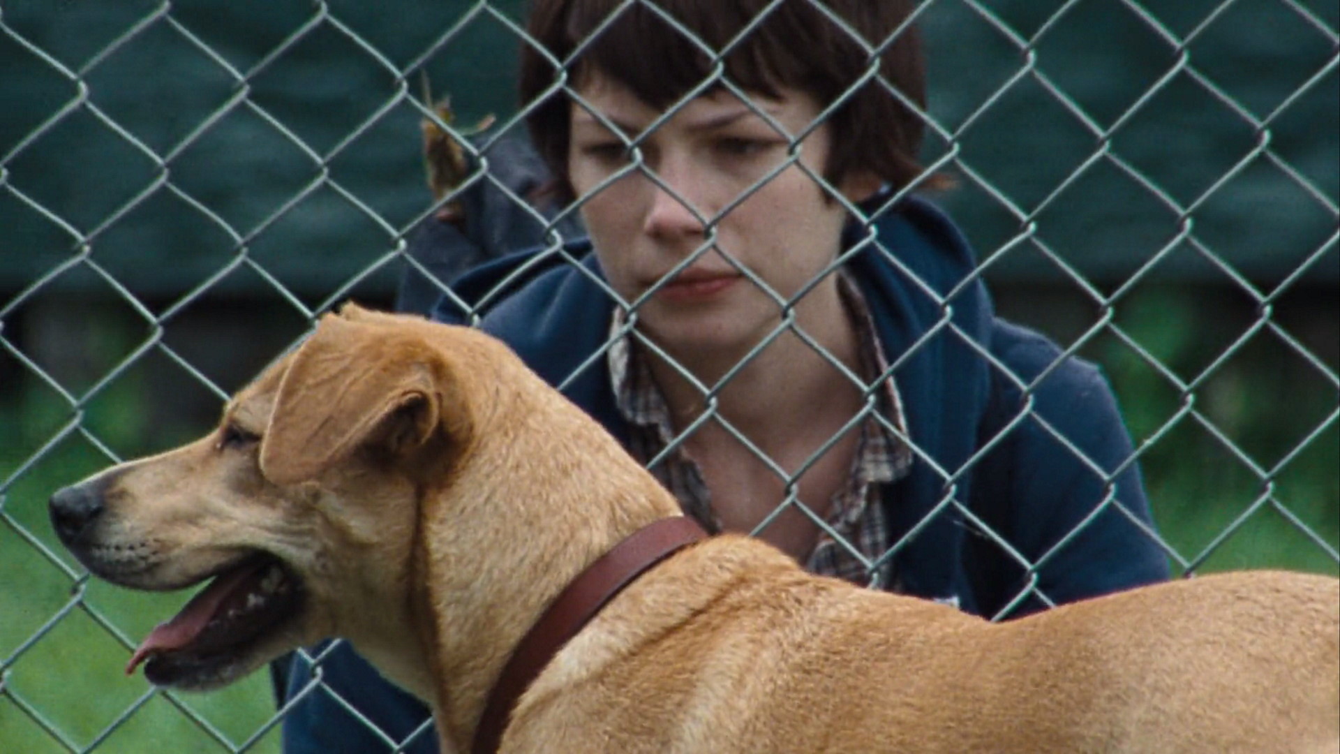 Wendy and Lucy | VERN'S REVIEWS on the FILMS of CINEMA