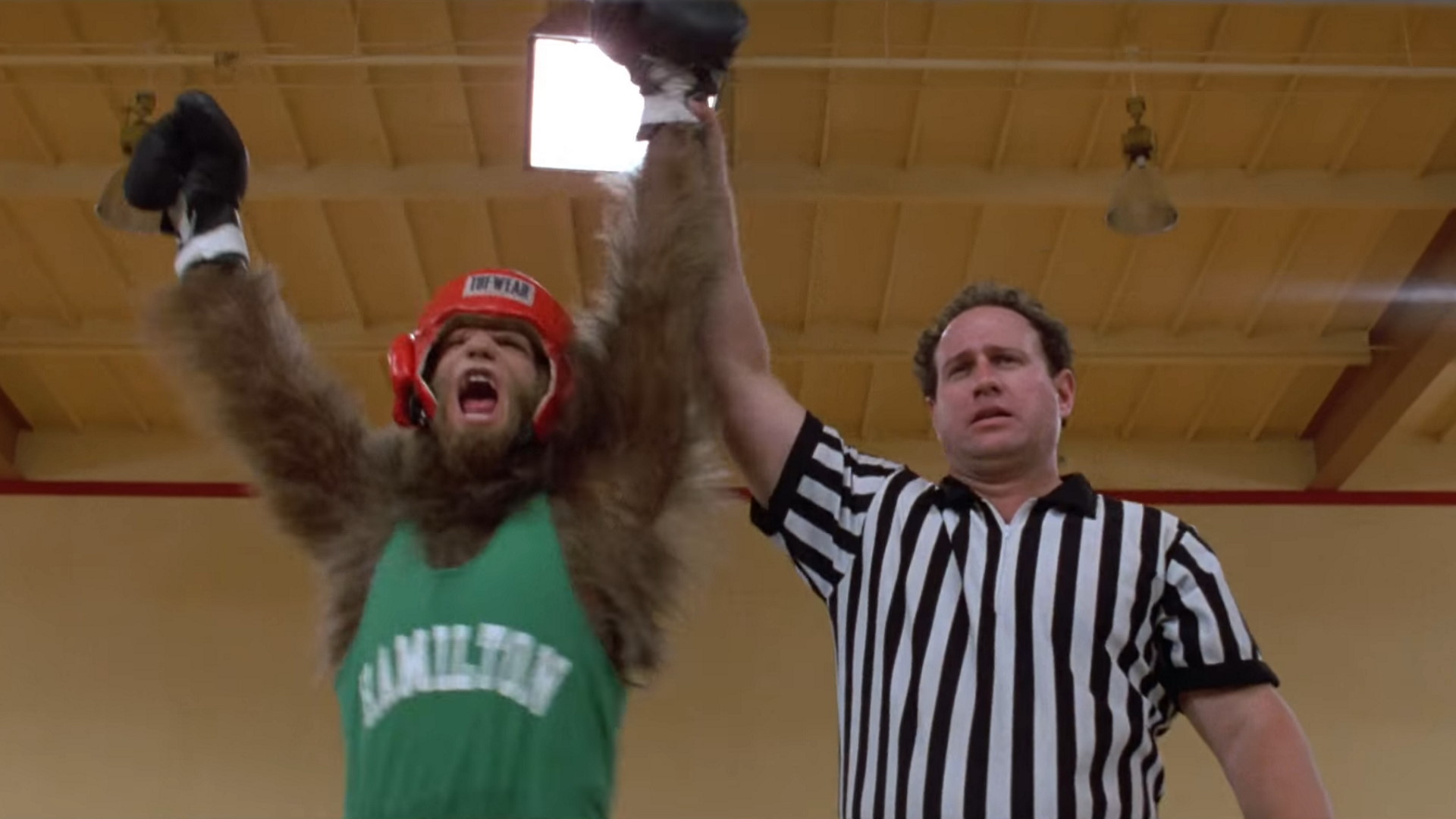 Teen Wolf Too (1987) | VERN'S REVIEWS on the FILMS of CINEMA