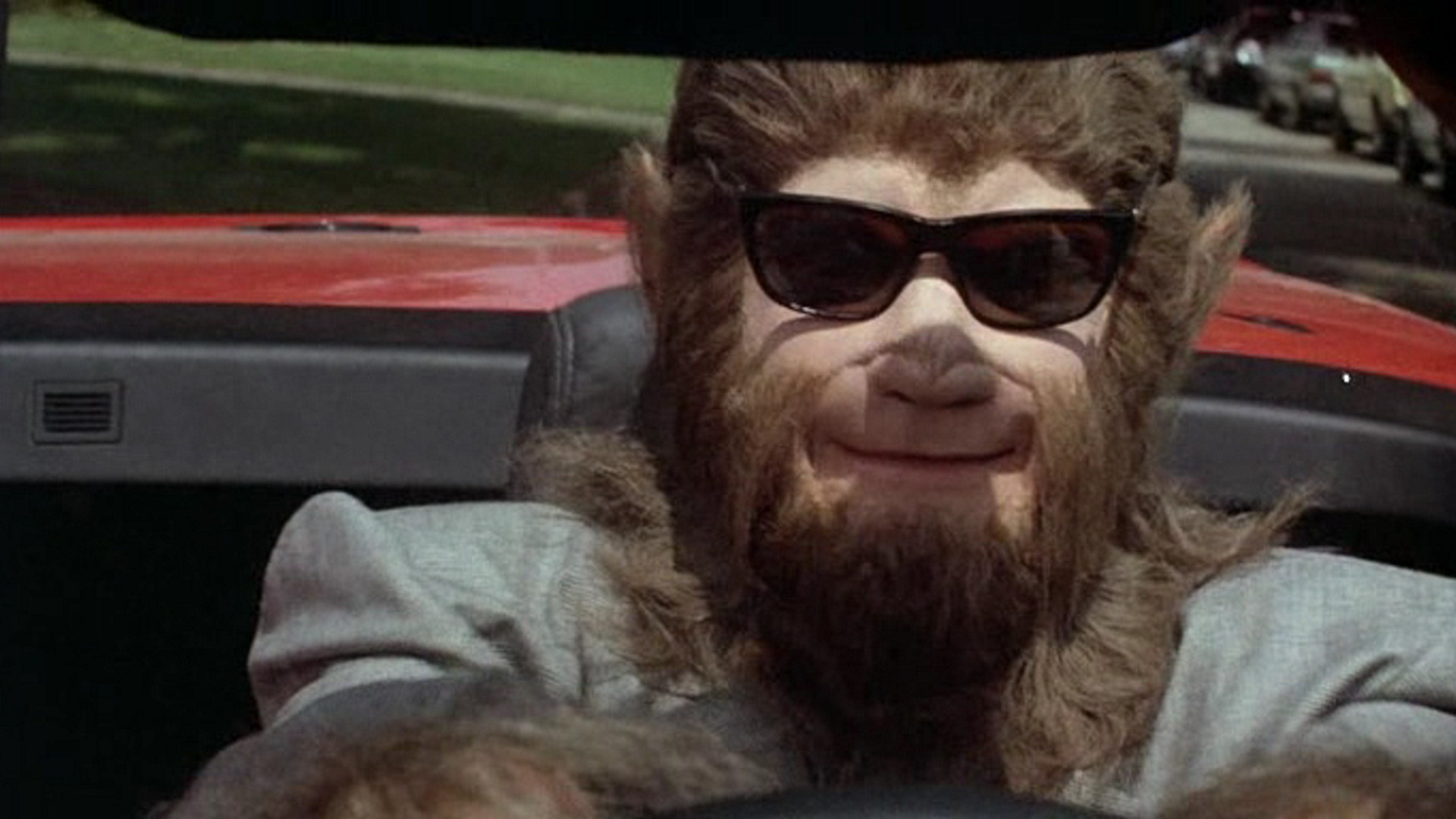 Teen Wolf Too | VERN'S REVIEWS on the FILMS of CINEMA