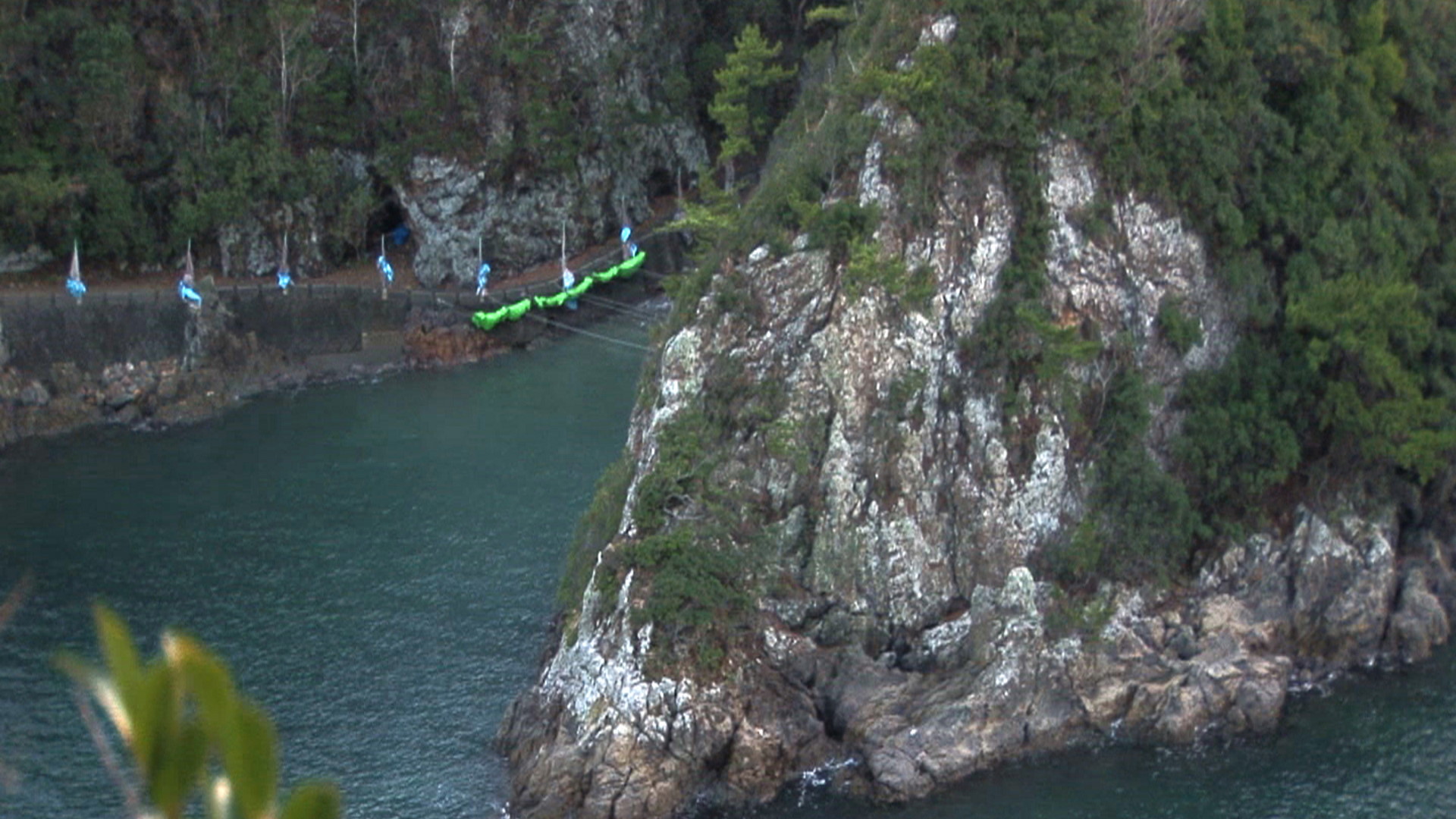 The Cove (2009) | VERN'S REVIEWS on the FILMS of CINEMA