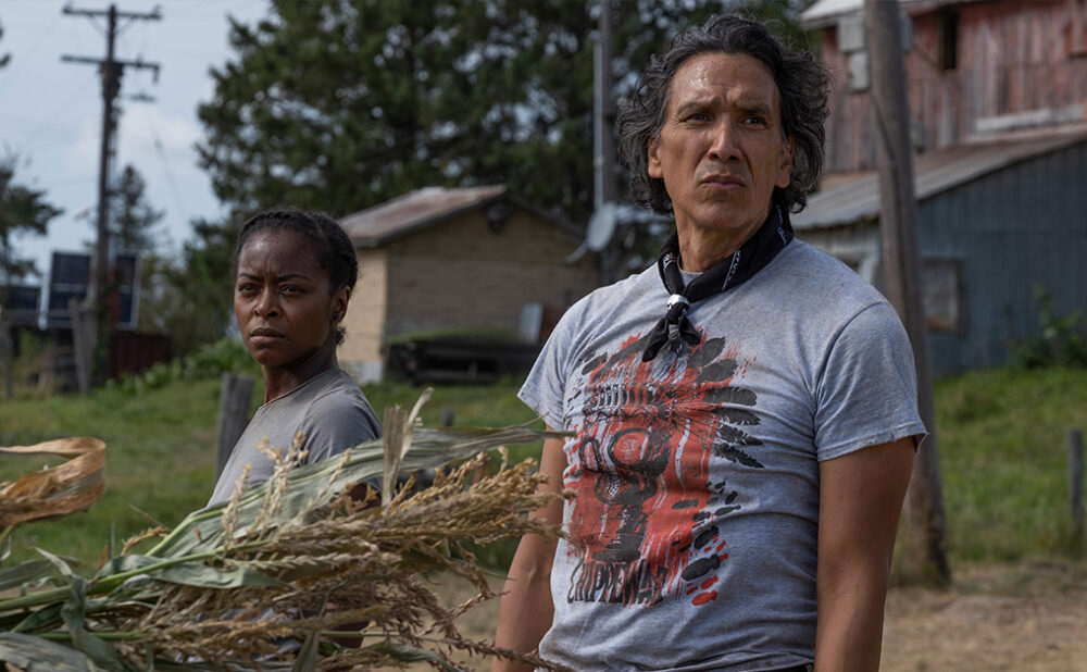 40 Acres | VERN'S REVIEWS on the FILMS of CINEMA